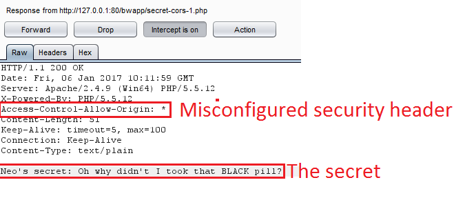 Security Misconfiguration #5 – CORS Vulnerability and Patch