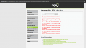 OWASP Top 10 SQL Injection Risks and Exploitation Guide