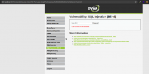 OWASP Top 10 SQL Injection Risks and Exploitation Guide