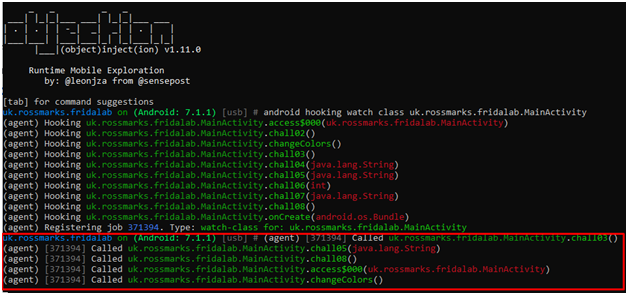 Sharpening your FRIDA scripting skills with Frida Tool