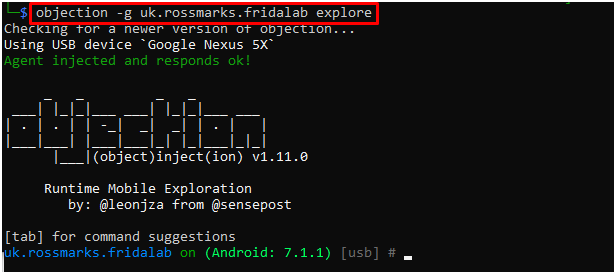 Sharpening your FRIDA scripting skills with Frida Tool