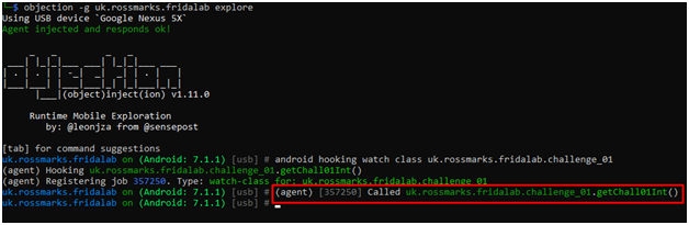Sharpening your FRIDA scripting skills with Frida Tool