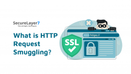What is HTTP Request Smuggling?
