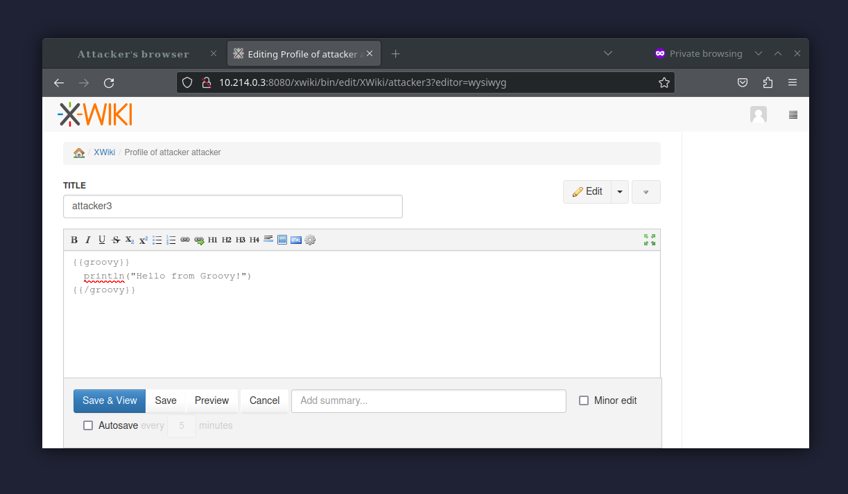 Analyzing Security Vulnerabilities in XWiki: In-Depth Examination