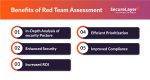 Red Team Assessments: A Complete Guide