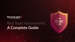 Red Team Assessments: A Complete Guide
