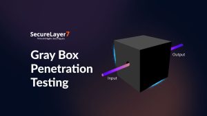 Gray Box Penetration Testing: The Essential Guide - Penetration Testing ...